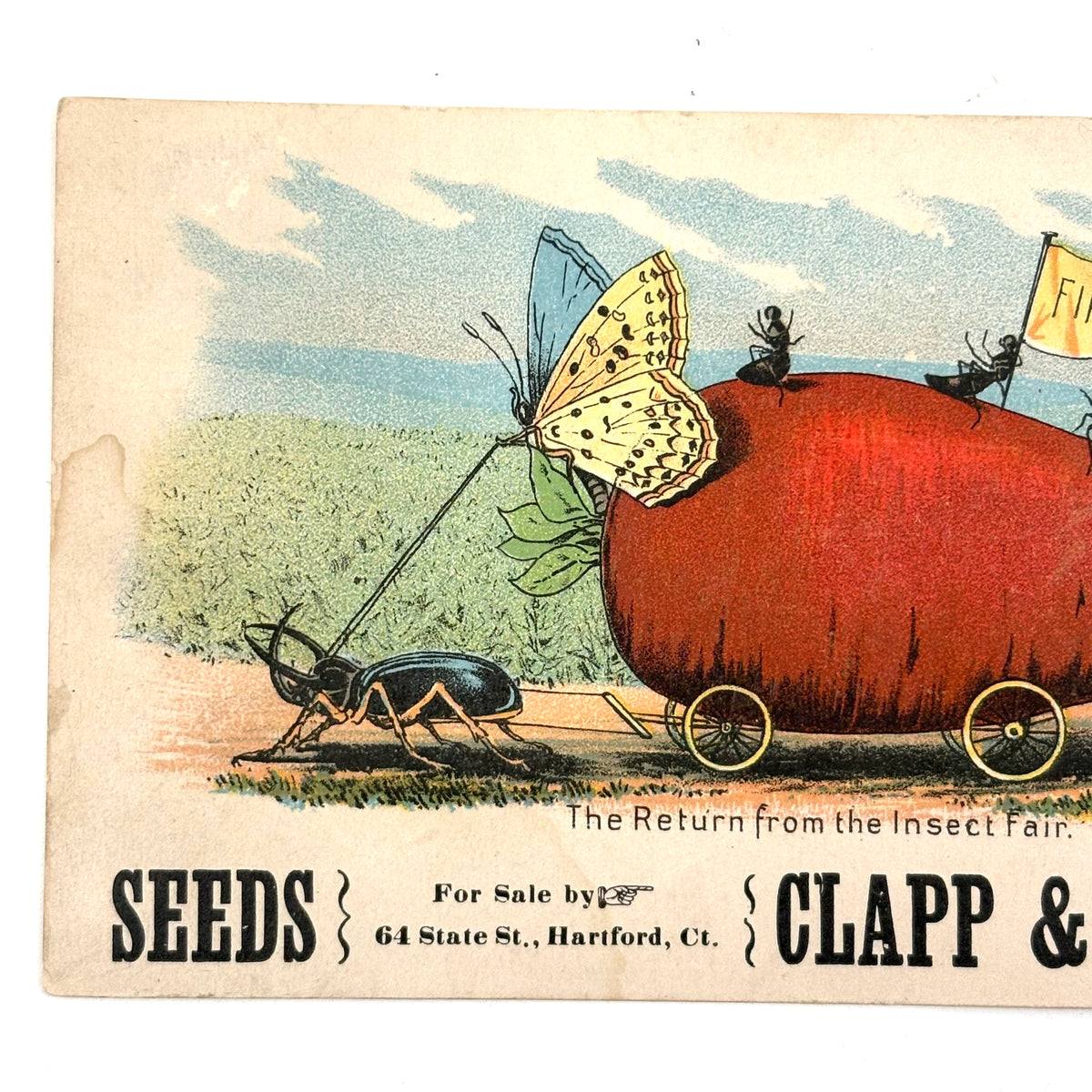 Return from the Insect Fair, Very Scarce Clapp and Treat Seeds Trade C ...