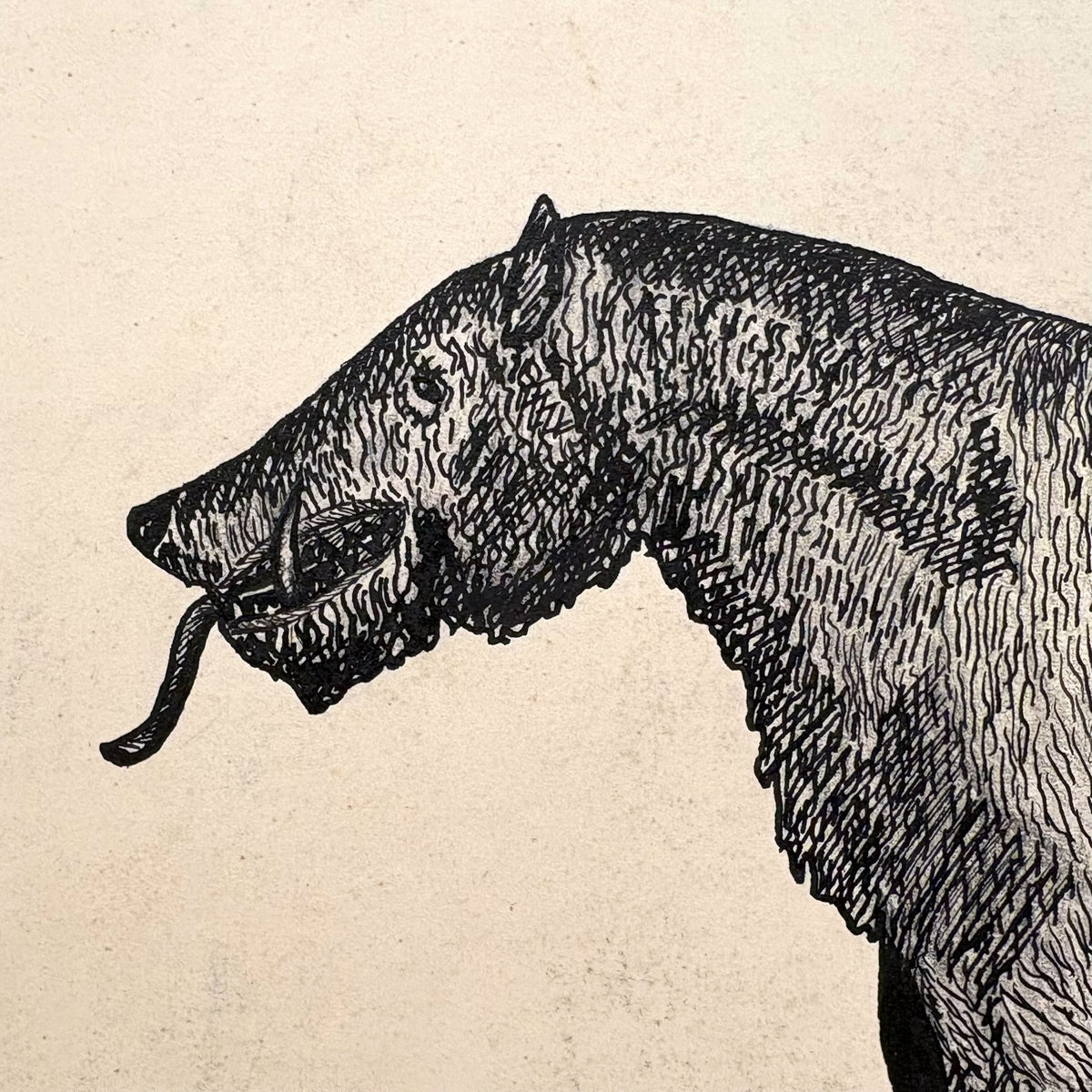 "Prehistoric Bear", Mary Gerken's Charming Vintage Naive Ink Drawing o ...