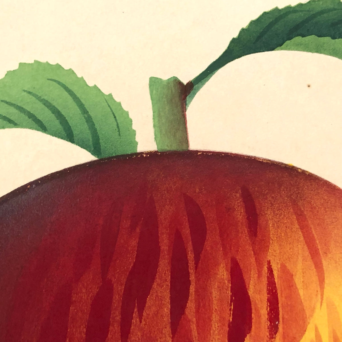Radiant Peach! Antique Theorem Watercolor on Watermarked Paper ...