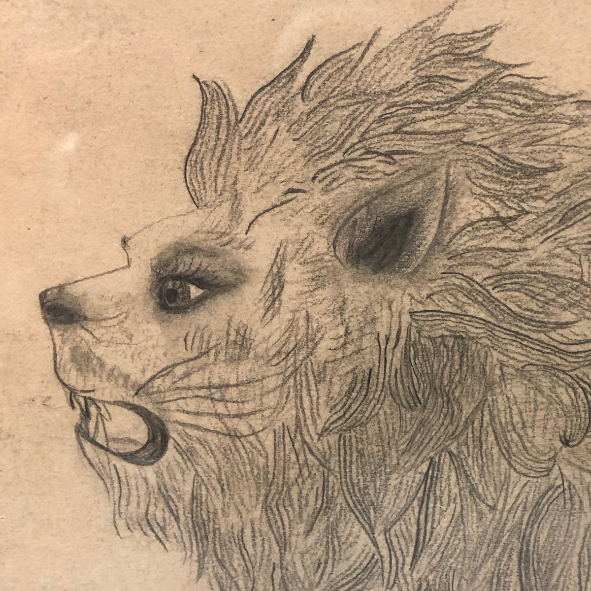 Antique Lion Graphite Drawing by W. Johnston Age 15 in Lemon Gold Fram ...