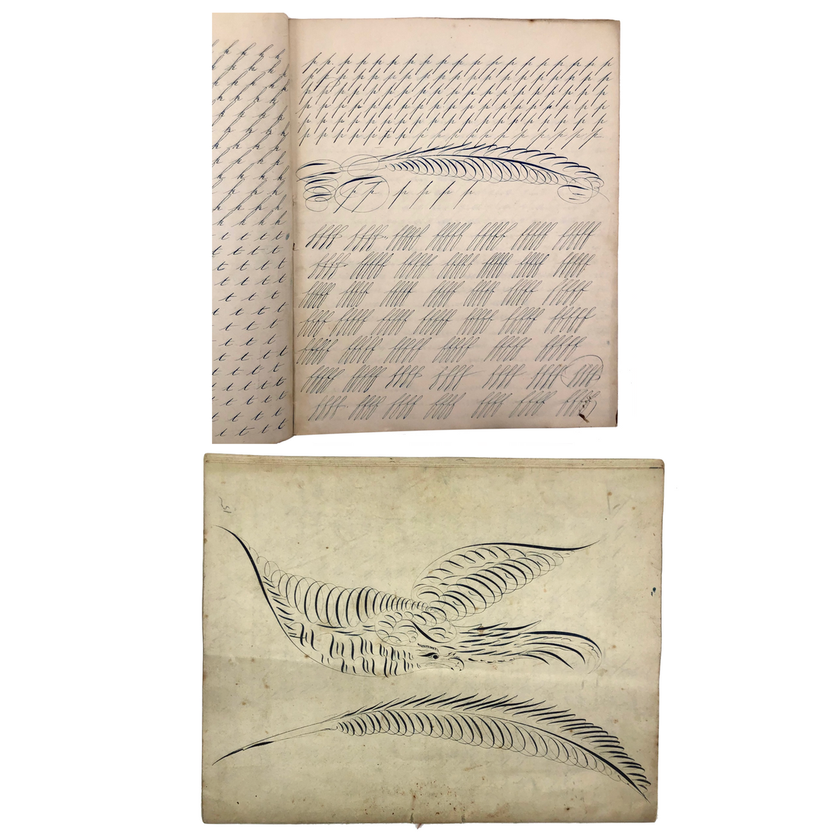 19th Century Penmanship Practice Notebook with Spencerian Bird Drawing ...