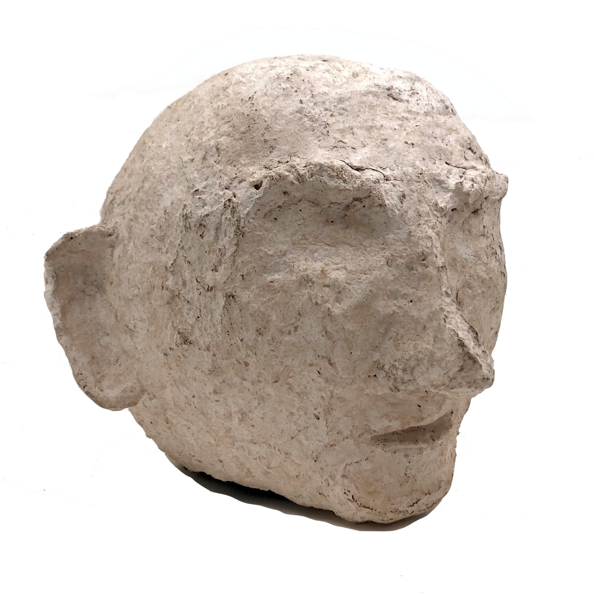 Wonderfully Done Papier Mache Head of Man with Large Ears – critical ...