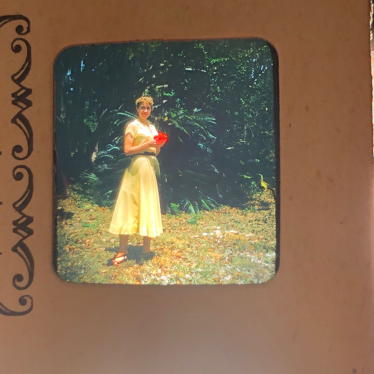 Herbert C. McKay c. 1950s Color Stereo Slides, Sold as a Pair ...